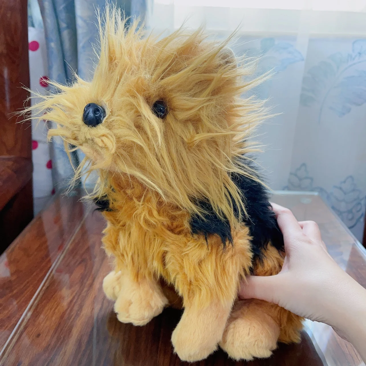 Yorkshire Terrier Toy Puppy