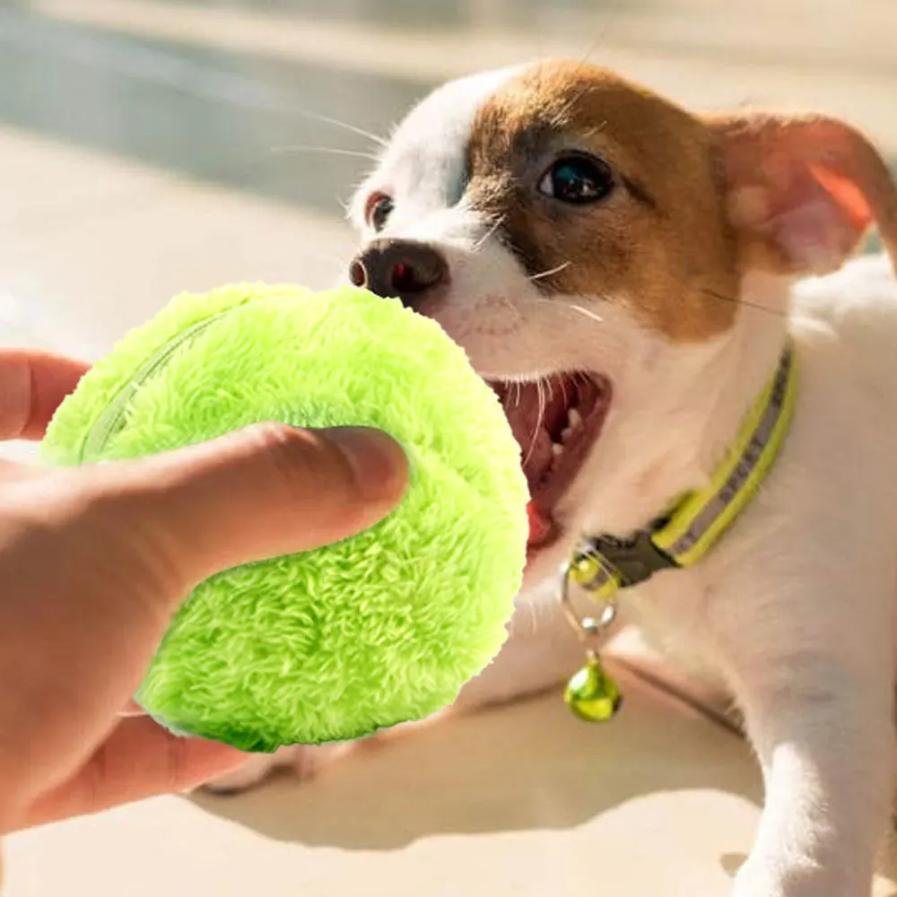 Dog Poof Ball
