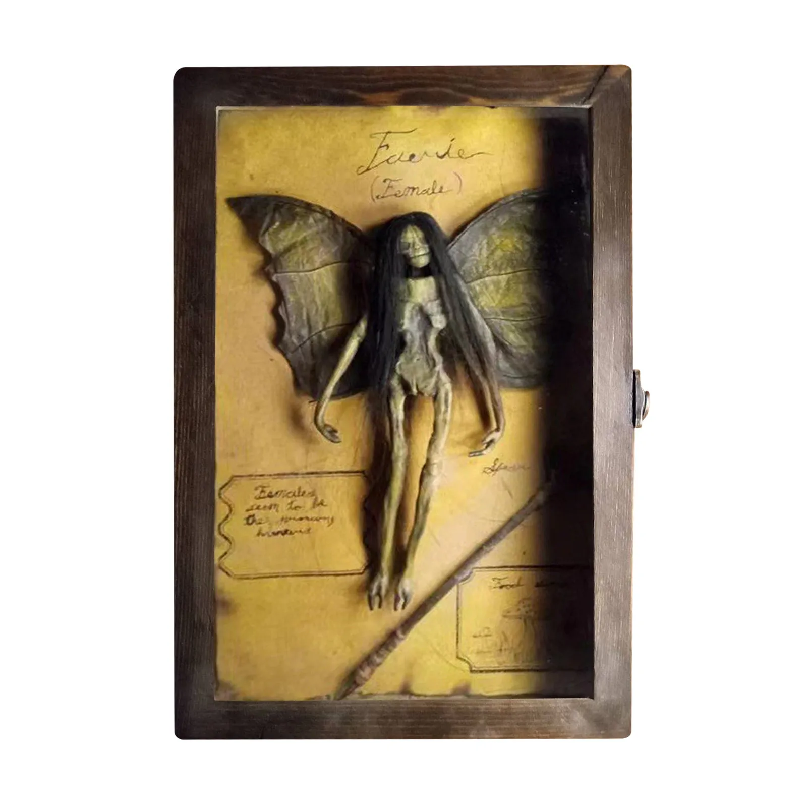 Cursed Items Dead Shadow Box Display Handmade Creepy Mummified Corpse ...