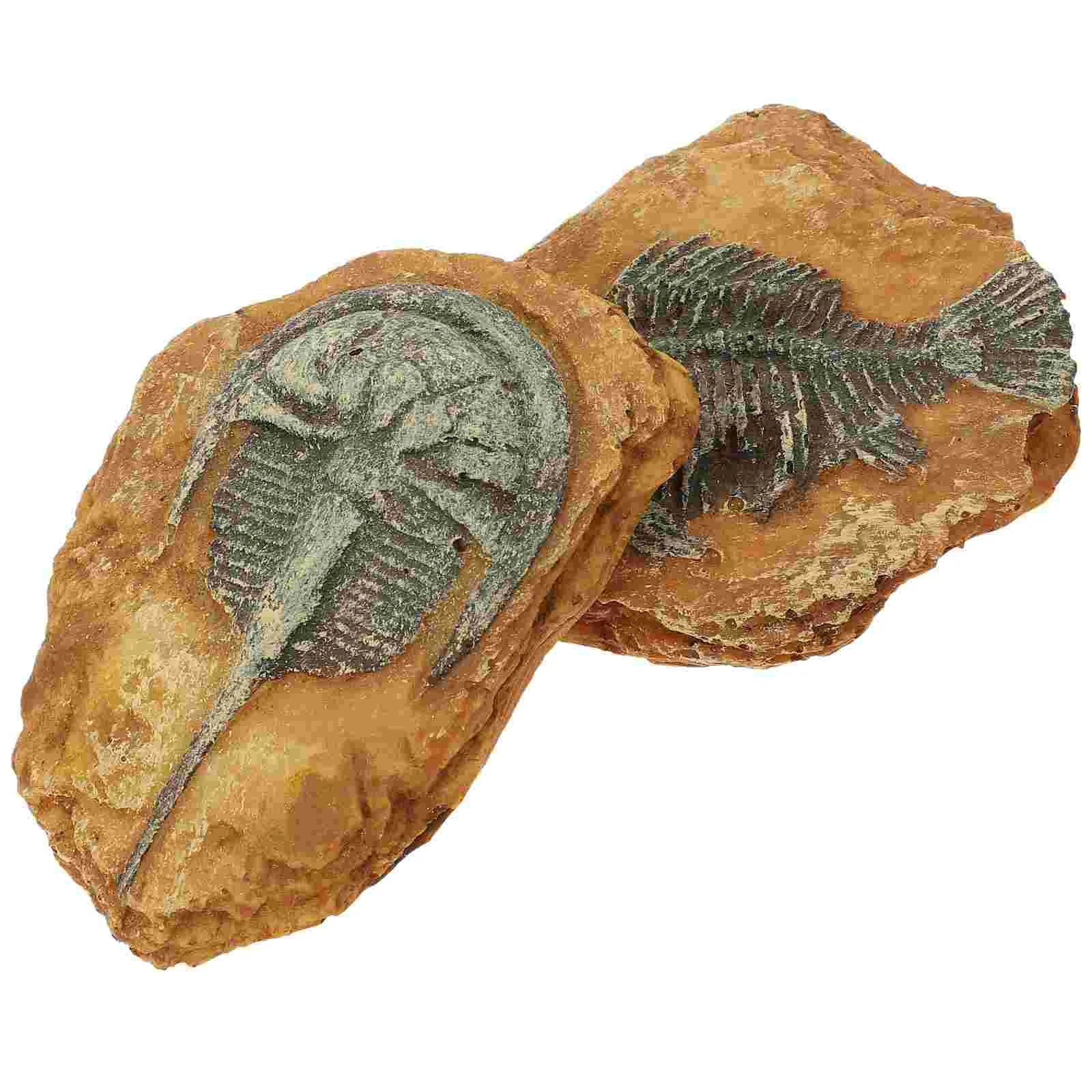 2-Pcs-Simulated-Resin-Fossil-Ornament-Crawling-Terrarium-Decors ...