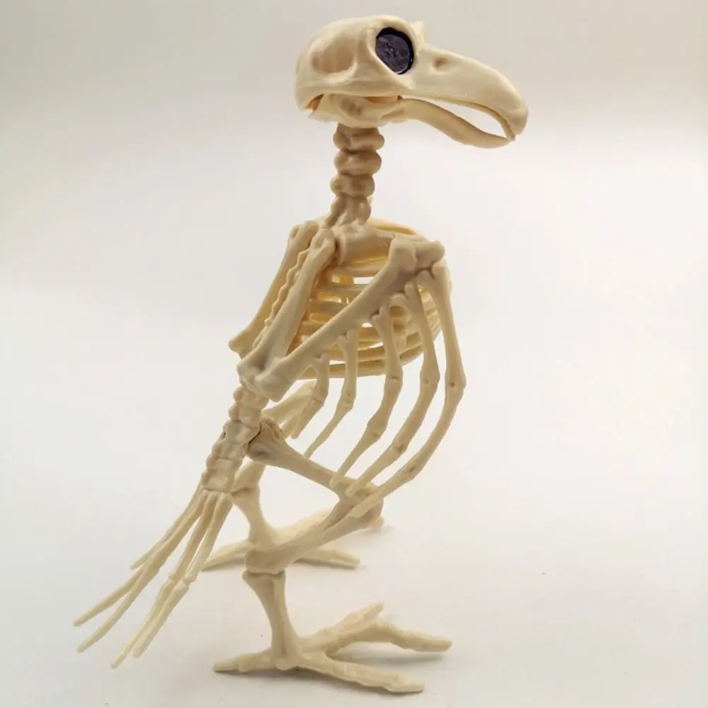 Crazy-Bone-Skeleton-Raven-Plastic-Animal-Skeleton-Bones-Horror ...