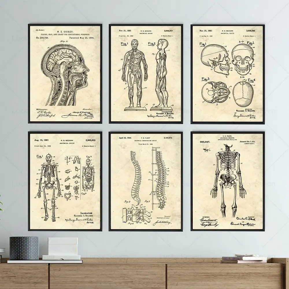 The-Body-Structure-Retro-Poster-Anatomy-Patent-Physiology-Skeleton ...