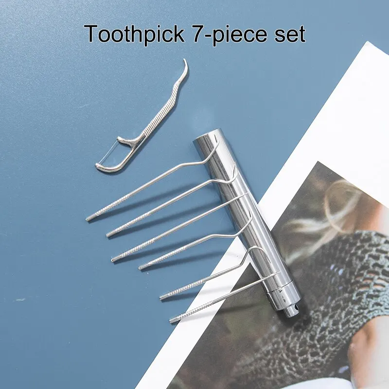 Stainless-Steel-Toothpick-Set-Portable-Toothpick-Holder-Care-Metal ...