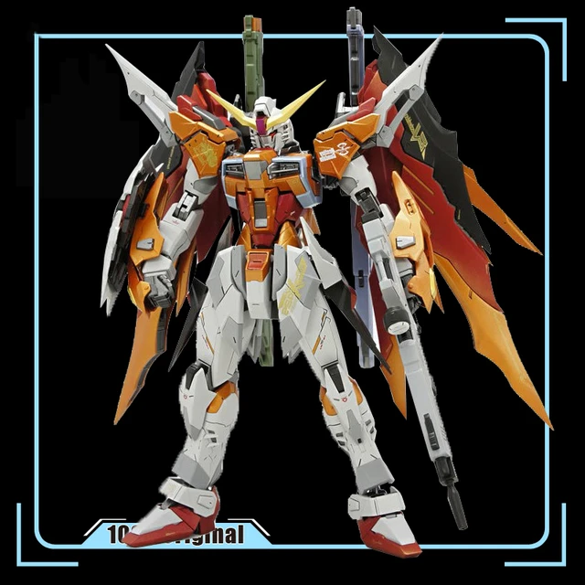 Mg Destiny Gundam Custom