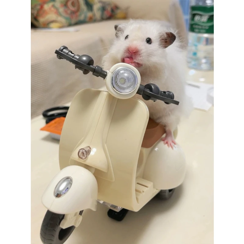 Hamsters In Cars