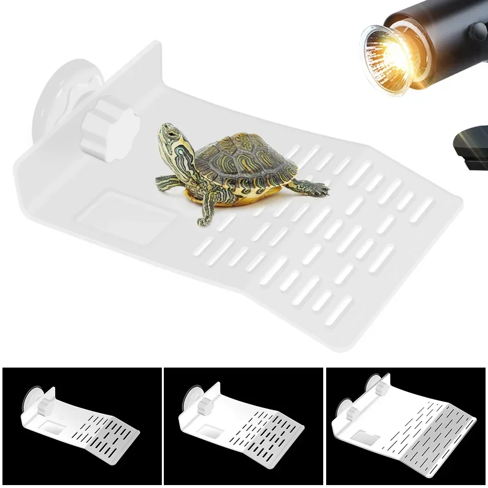 Large Transparent Turtle Basking Platform Fish Tank Aquarium Platform ...