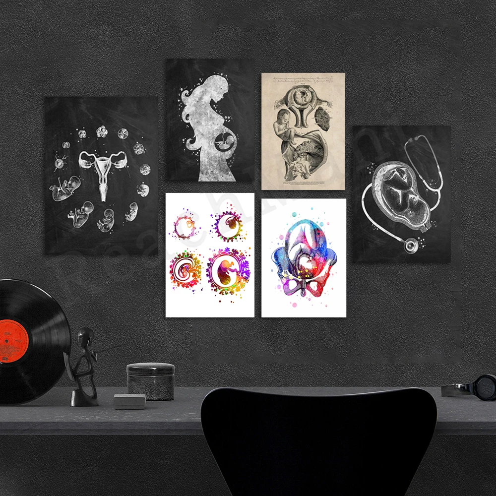 OBGYN medical poster, fetal development, human embryo, fetal pattern ...