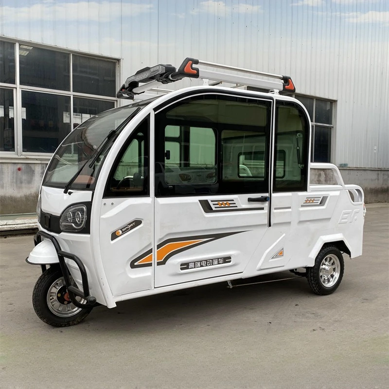 China Motorized Tricycle Cargo 60V 1000W Wheel Electric Cargo Trike ...