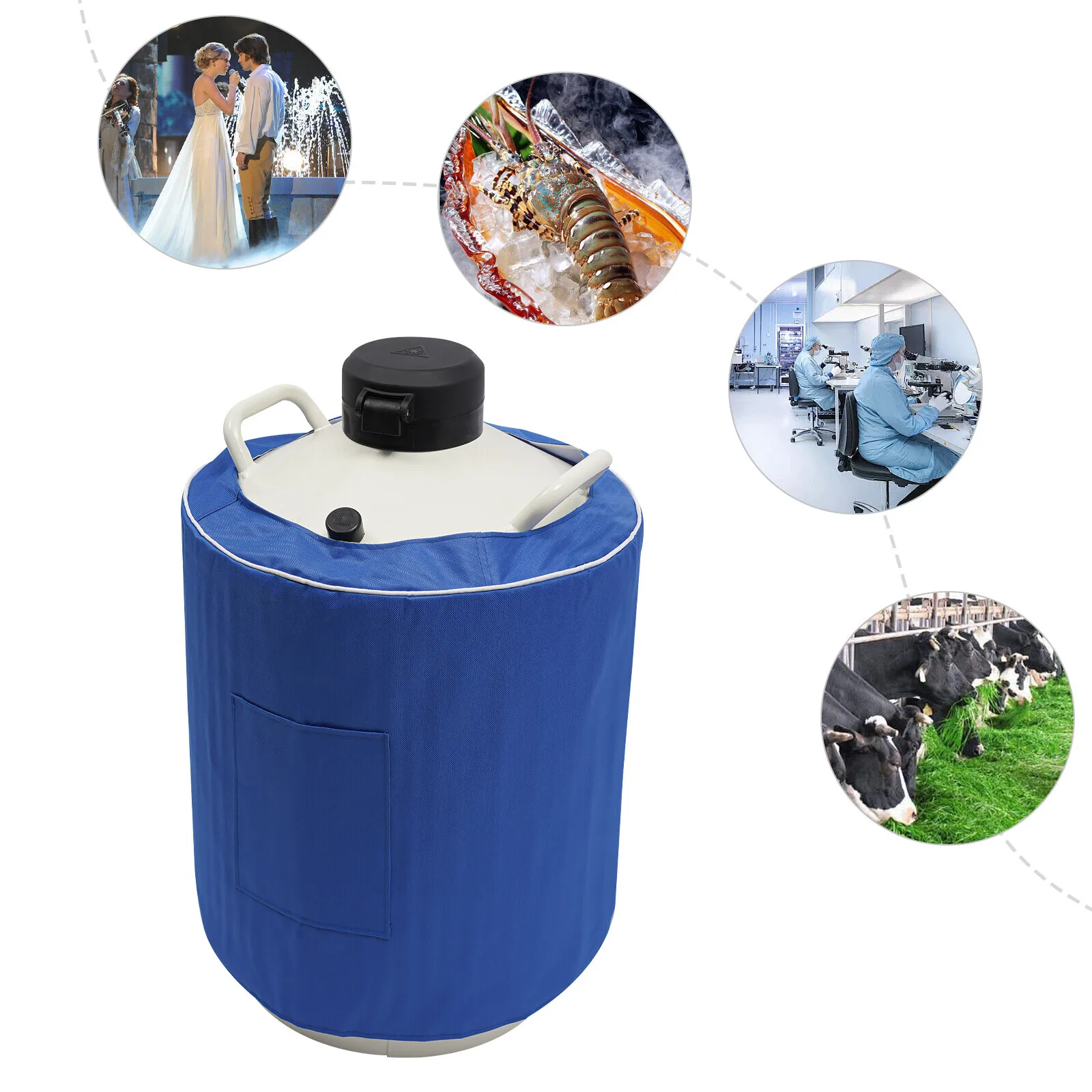 30L Liquid Nitrogen Storage Tank Container Cryo Dewar Canisters for ...
