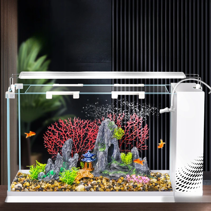 Fish Vivarium