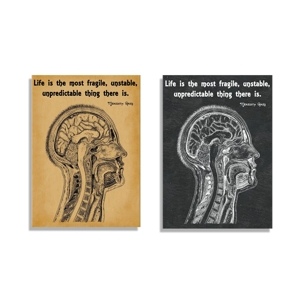 Meredith Gray Medical Student Gifts For Doctor Grays Anatomy Quotes ...