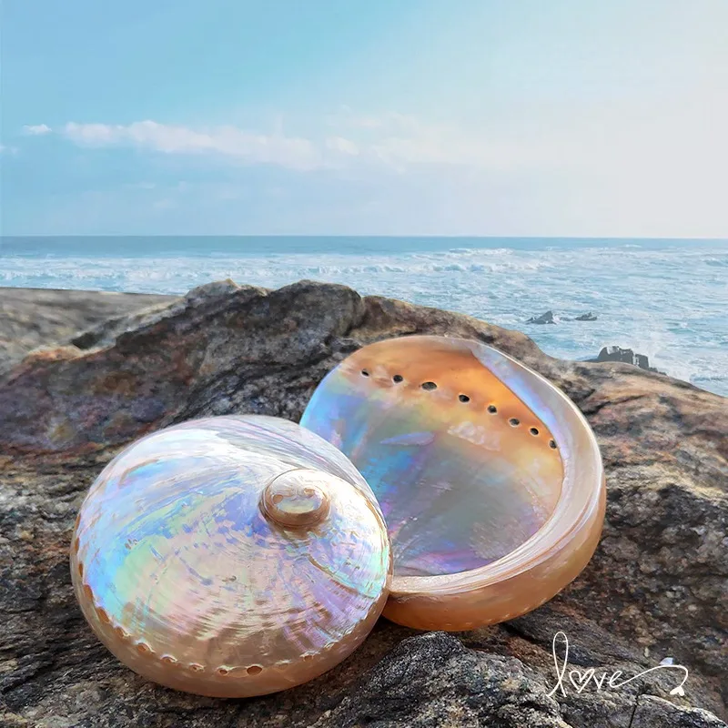 5-6-inches-Premium-Natural-Abalone-P-ua-Shell-for-Smudging-Cleansing ...