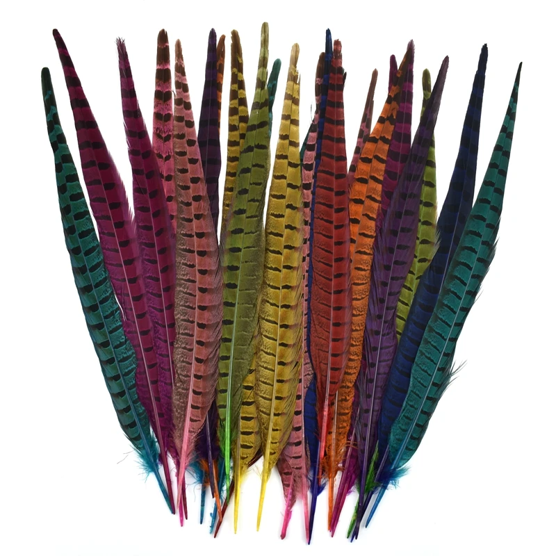 Exploring the Beauty of Purple Indian Ringneck Parrots: A Guide to ...