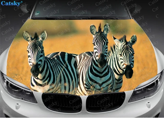 Zebra Print Cars