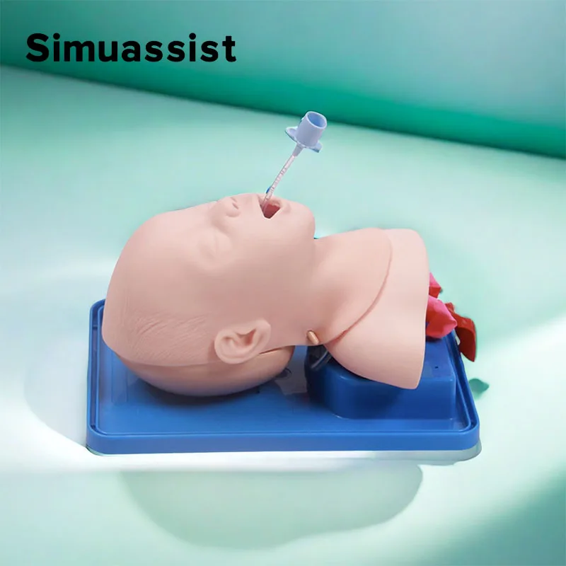 Neonatal-Tracheal-Intubation-Model-Infant-Analog-Double-Lung-and ...