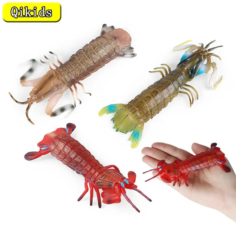 Realistic-Marine-Animals-Ocean-Characters-Fish-Pipa-Shrimp-Skin-Shrimp ...