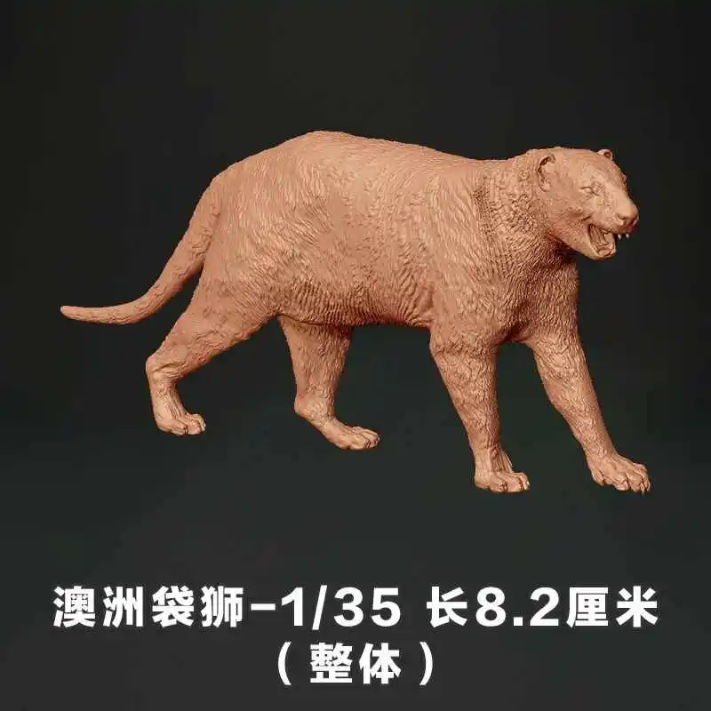 C10CM - Modèle Thylacoleo Panthera Leo Atrox, Smilodon Doedicurus ...