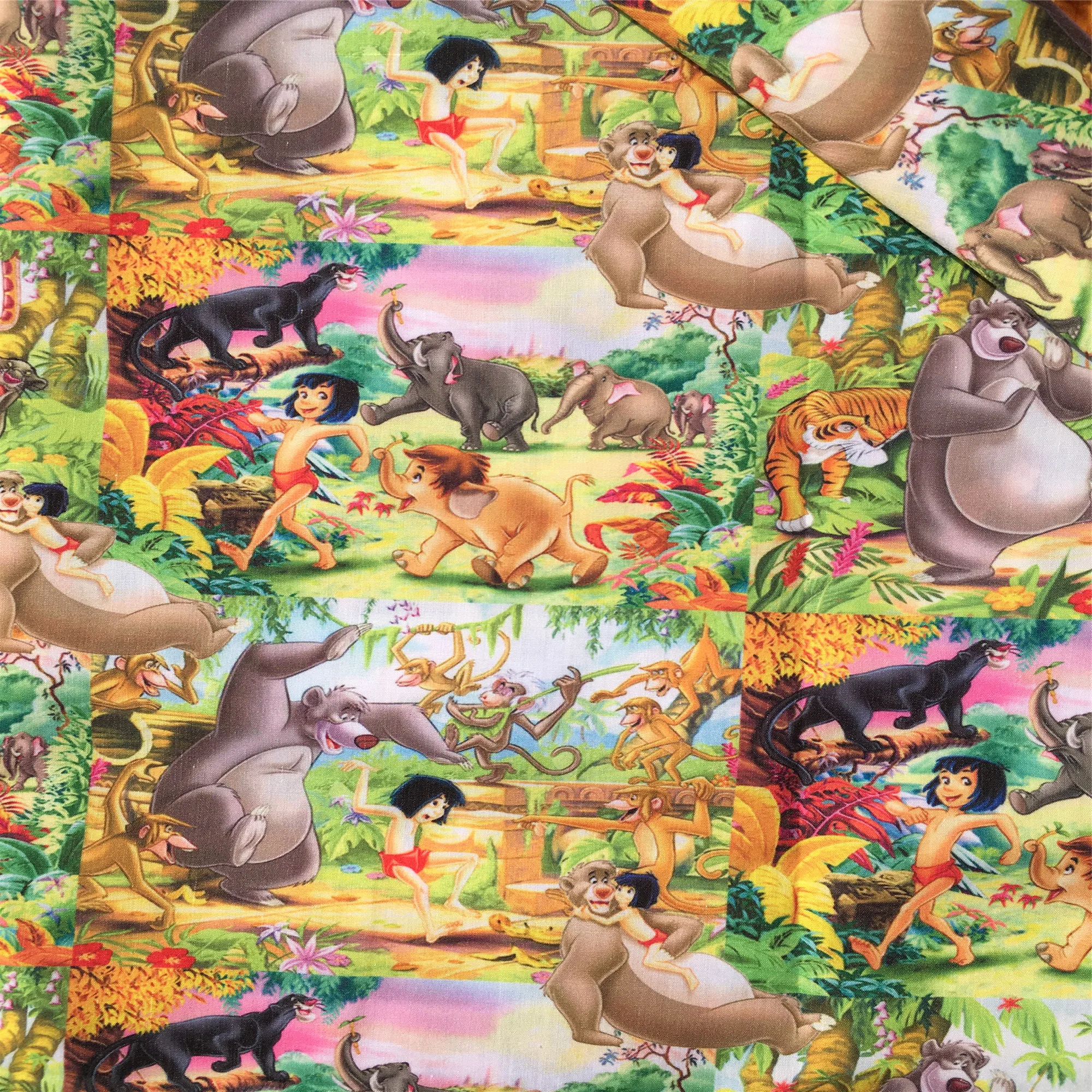 Jungle Book Characters Bagheera