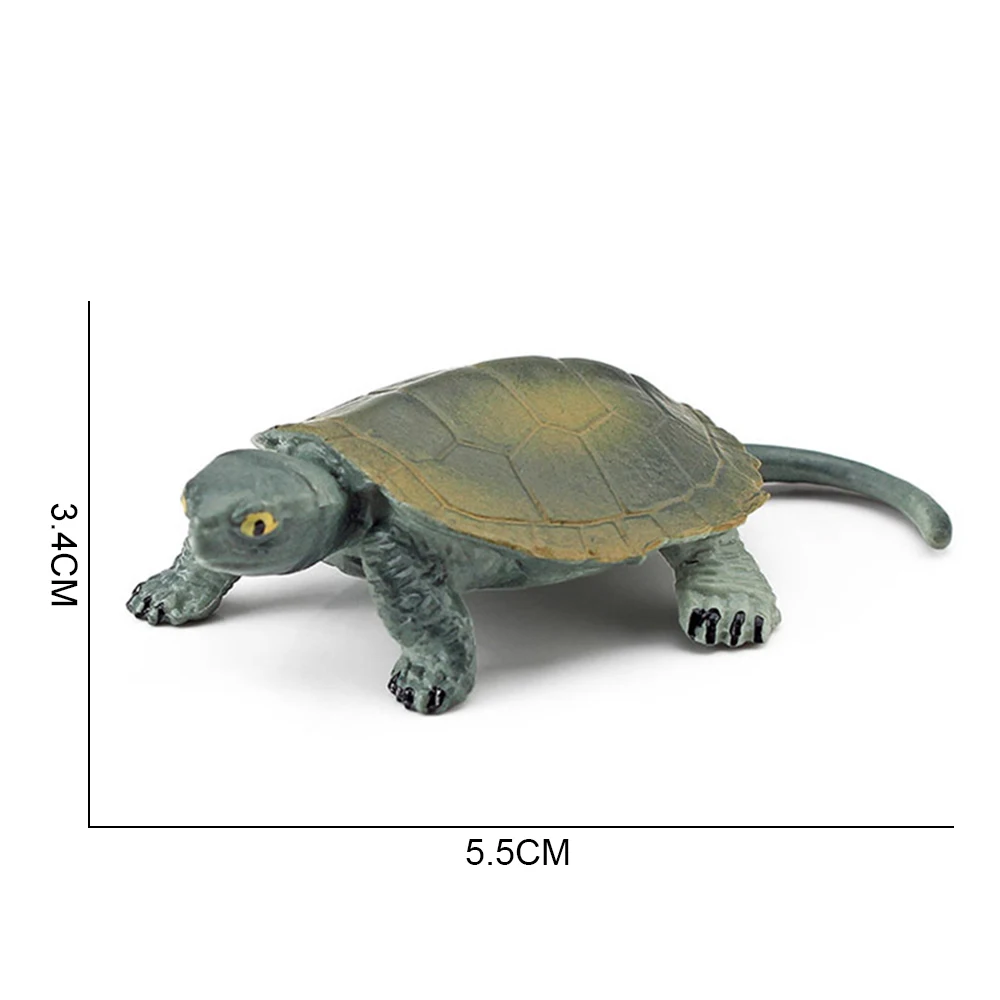Yowies Turtle