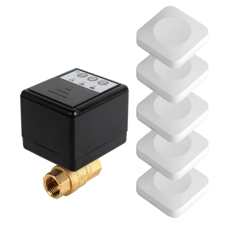 Batteries-Power-Wireless-Water-Leakage-Alarm-System-Electric-Motorized ...