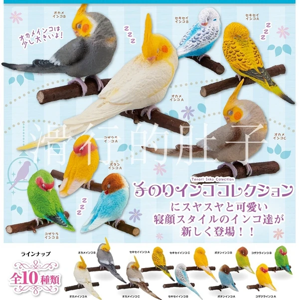 SHINE-G Japan Gashapon Figure Cute Kawaii Goodnight Parrot Bird ...