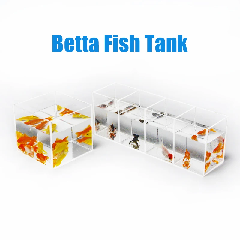 Small-Betta-Separate-Fish-Tank-Acrylic-Ultra-white-Aquarium-Fish-Open ...