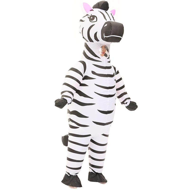 Madagascar Zebra Clown