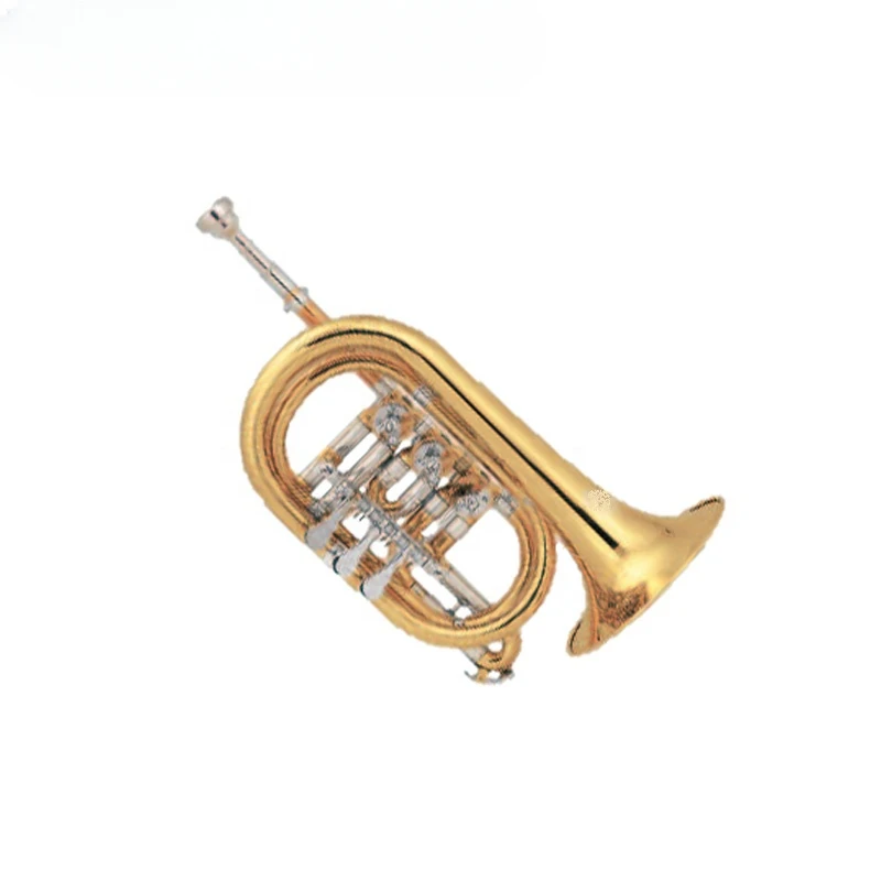 High-Grade-Gold-lacquer-Rotary-Valve-Cornet-with-Gold-brass-leadpipe ...