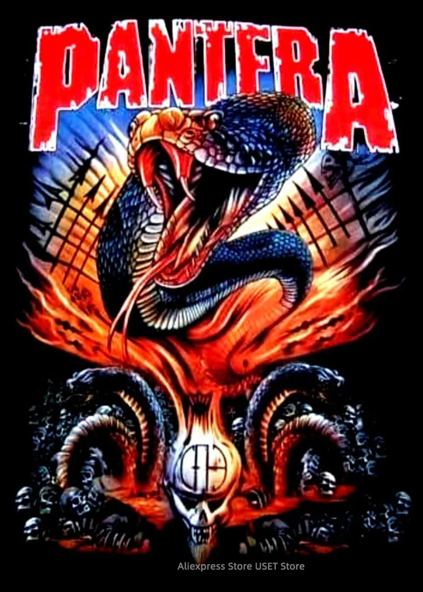 Pantera Far Beyond Driven Cover