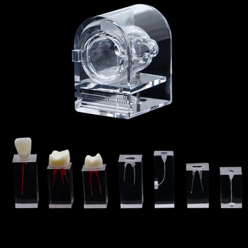 Modello-di-addestramento-del-canale-radicolare-dentale-endodonzia-Endo ...
