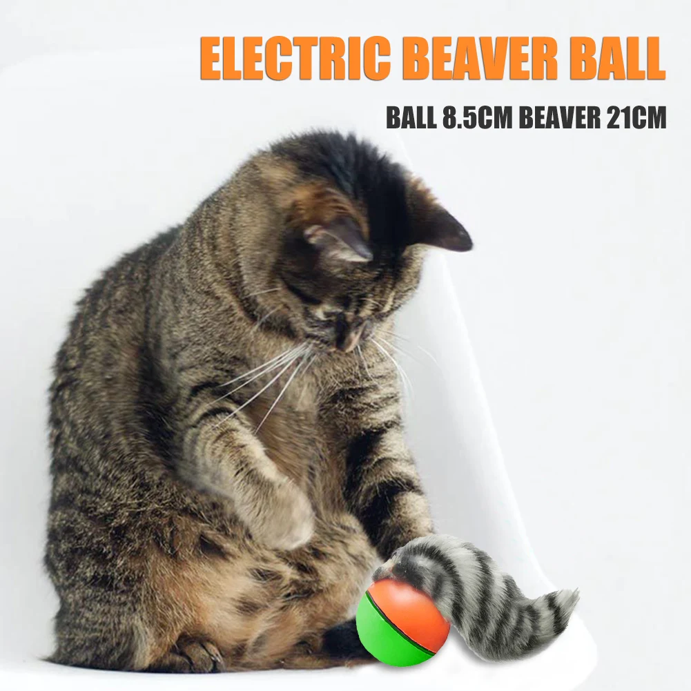 1-5Pcs Electric Beaver Ball Traning Dogs Agility Toys Electric Beaver ...