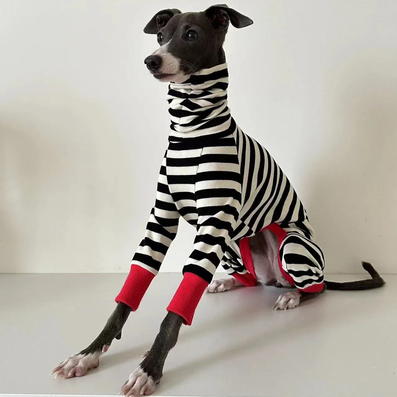 Four-Legged-Stretchy-Striped-Whippet-Dog-Clothes-Suitable-for-Small ...
