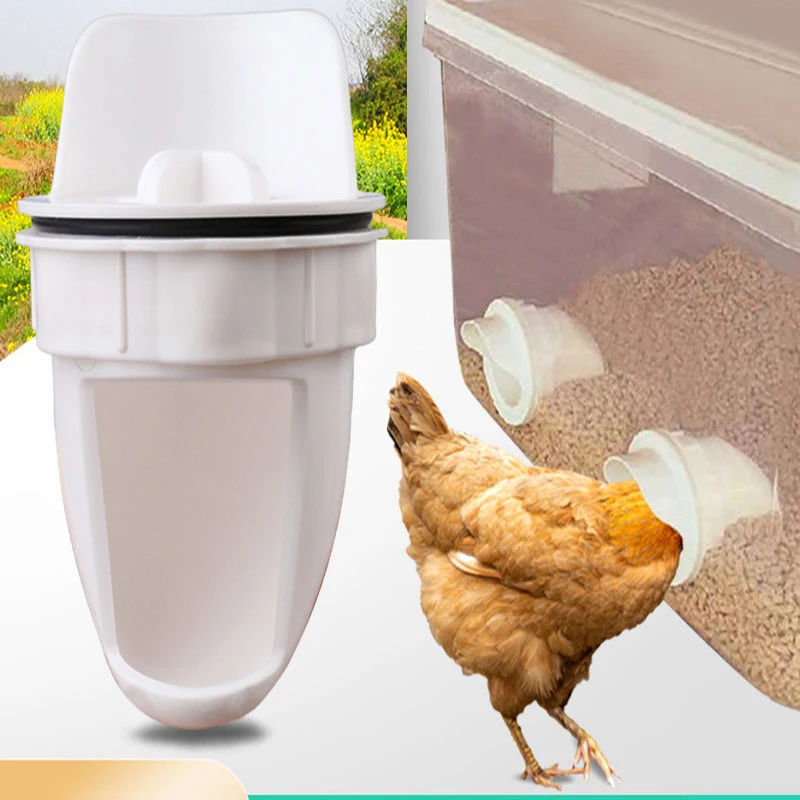 Automatic-Feed-Feeder-Chickens-Ducks-Geese-Poultry-Feeder-Poultry-Feed ...