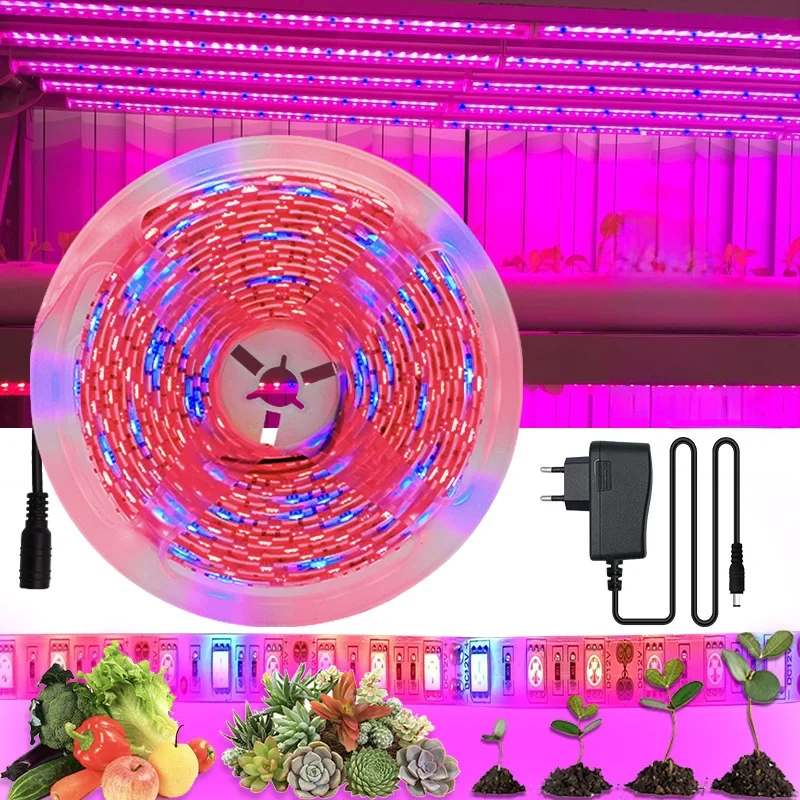 S2620d50ac3204b7c82e5d0684aa1ac14D.png