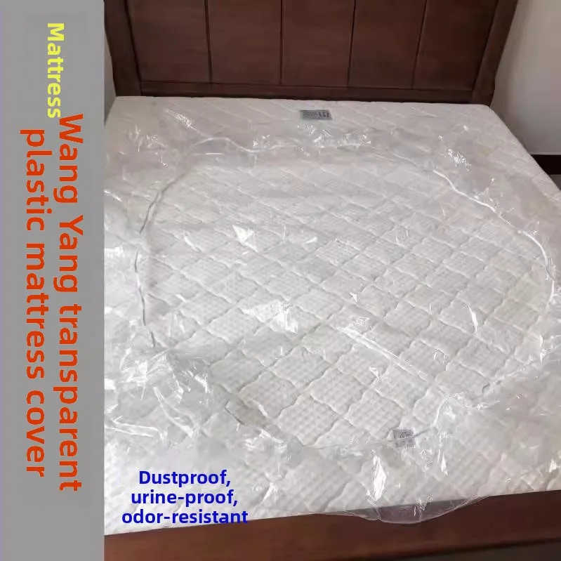 Transparent Plastic Bedding Protector Cover Waterproof Urine Proof Bed ...