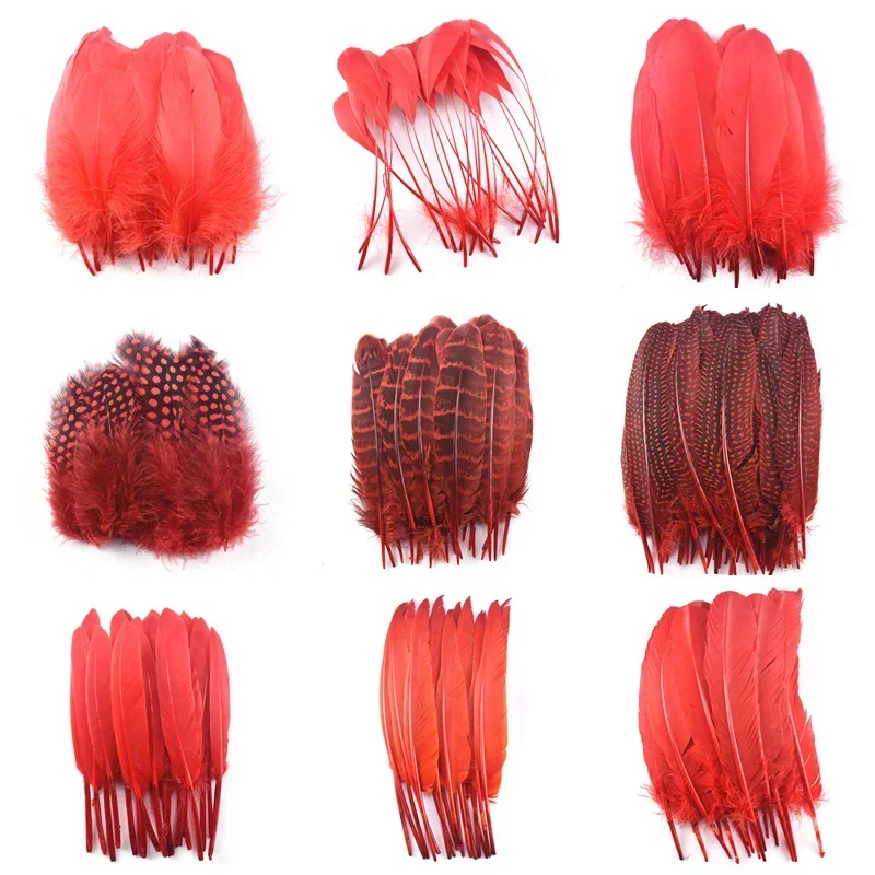 20pcs-Various-Red-Feathers-Goose-Pheasant-Feathers-for-Crafts-Turkey ...