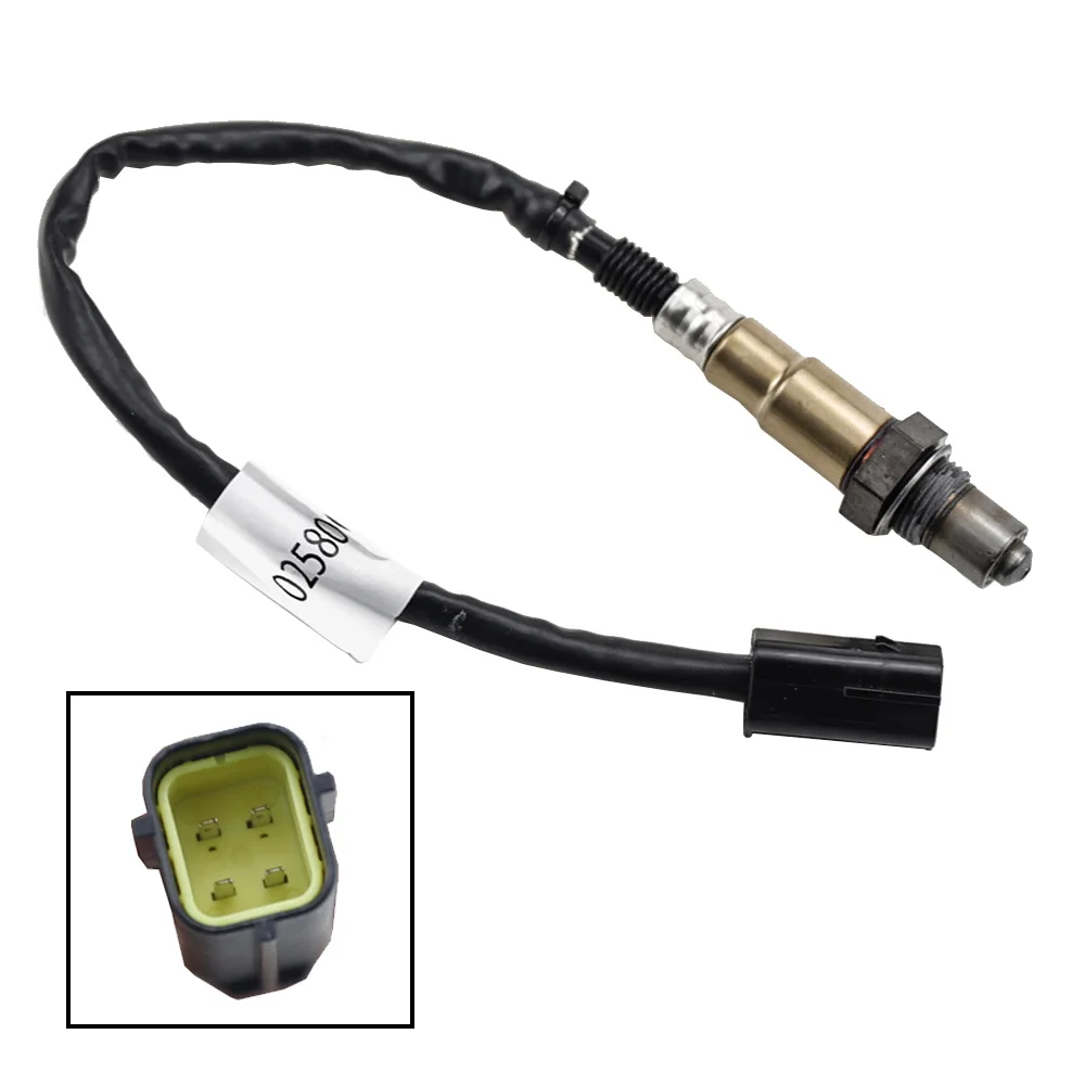 Store Home Products Esports Trends Feedback