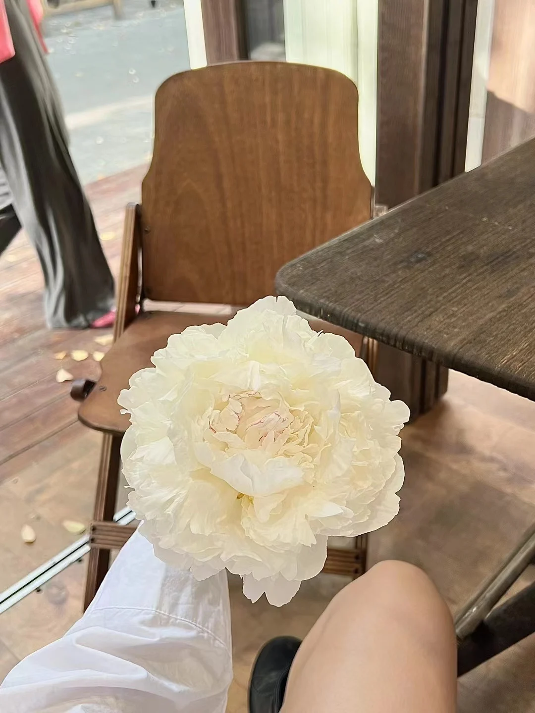 Ghế Ăn Gấp Đơn Giản Bằng Gỗ Thiết Kế Re Phòng Chờ Phòng Ngủ Ghế Vanity ...