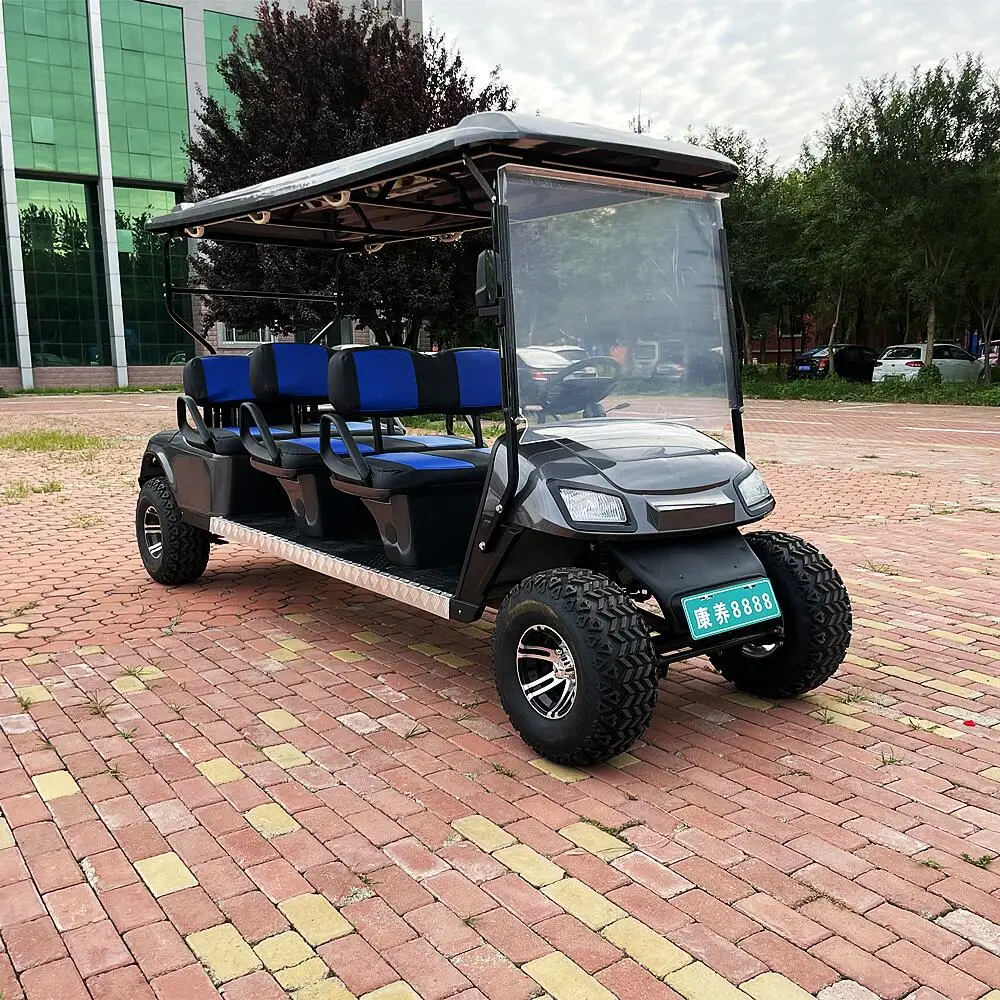 Mini carrito de Golf eléctrico de 2 plazas, coche de juguete eléctrico ...