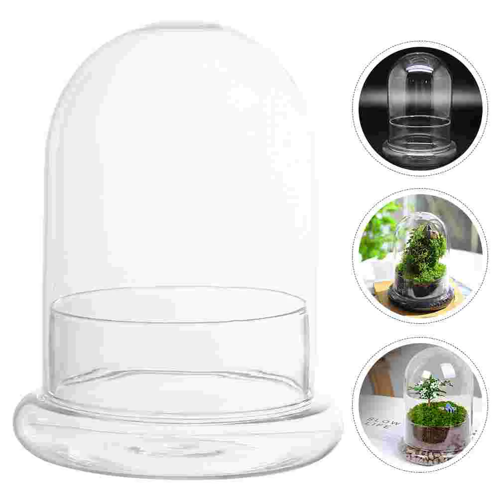 Micro-Landscape-Vase-Glass-Lid-Dome-Cover-Moss-Bottle-Succulent-Plants ...
