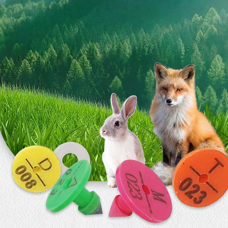 100Pcs Animal Identification Card Rabbit Ear Tag Sign with No.001-100 ...