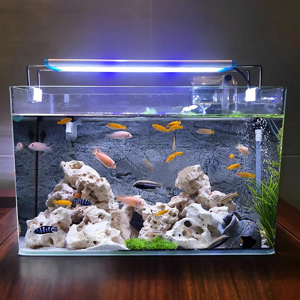 Fish-Tank-Transparent-Glass-Rectangular-Aquarium-Small-And-Medium ...