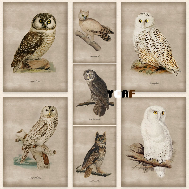 Vintage-Owl-Paintings-Poster-Canvas-Printing-Retro-Fine-Art-Owls-Wall ...