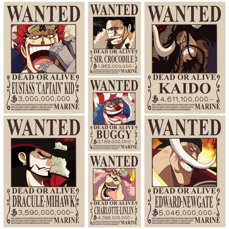 One Piece Kaido Bounty