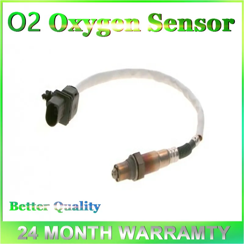 Exhaust Gas Oxygen Sensor