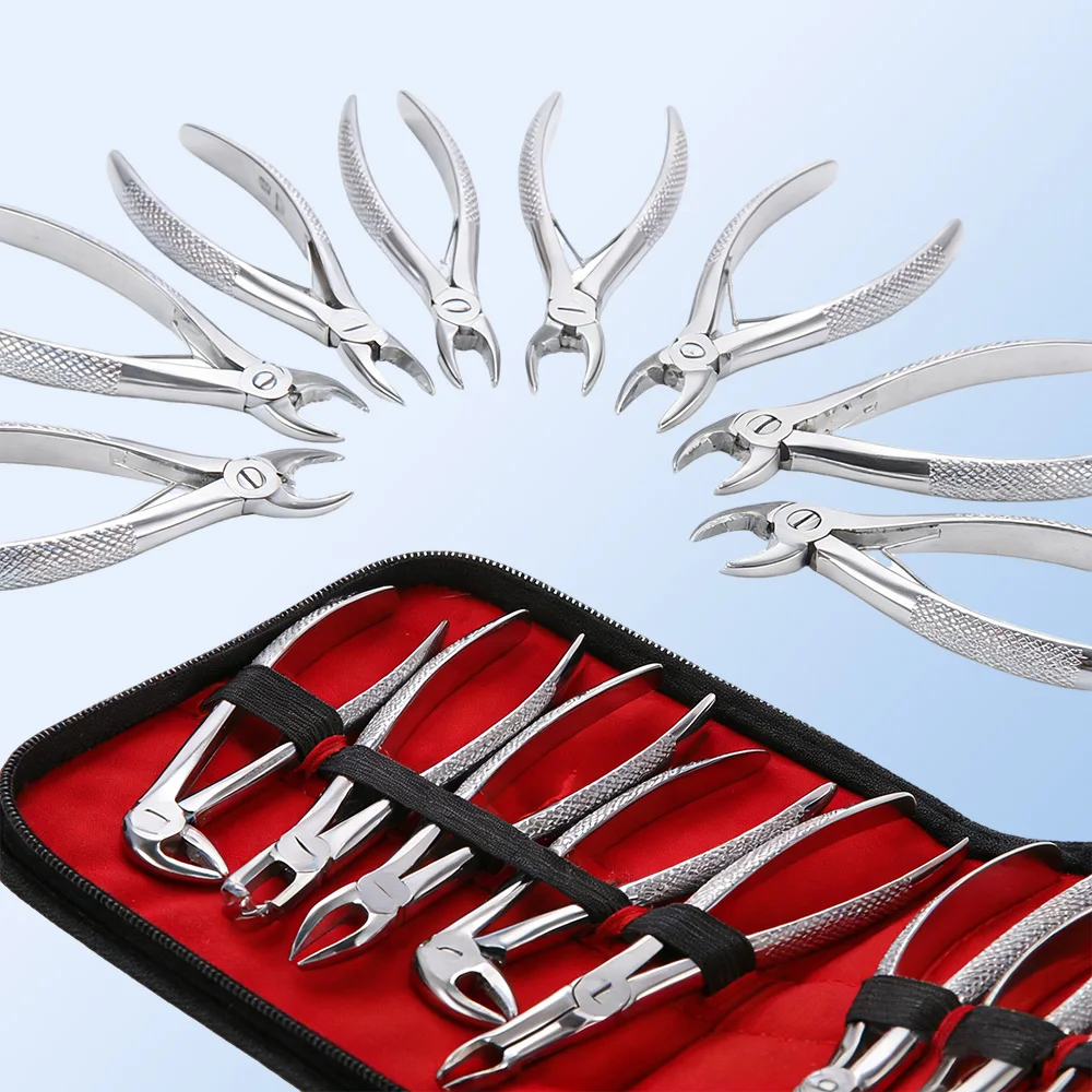 Dental Tooth Extracting Forceps Adult Teeth Extraction Forcep Surgical ...