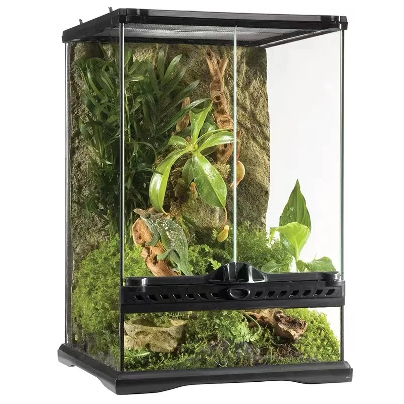 Pet Frog Tank