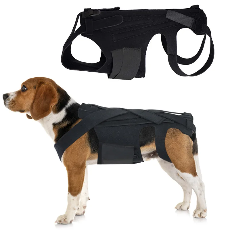 Breathable-Dog-Back-Brace-Breathable-Pet-Back-Bracer-For-IVDD-Back ...