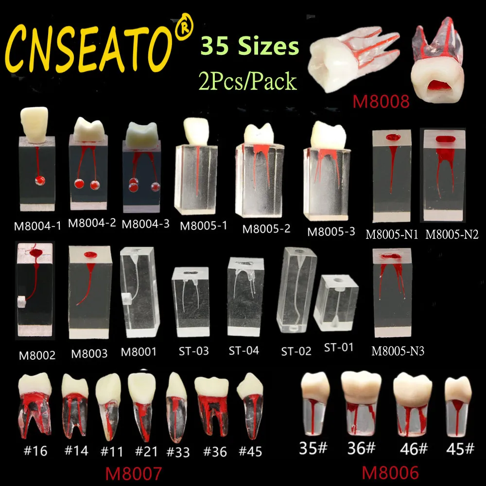 2PC-Dental-Endodontic-Model-Root-Canal-Tooth-Training-Block-RCT ...