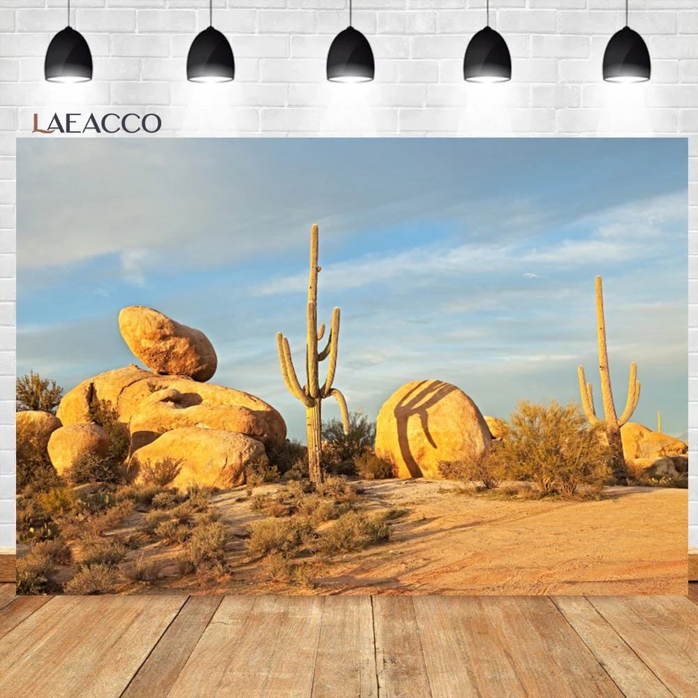 Western Desert Backdrop